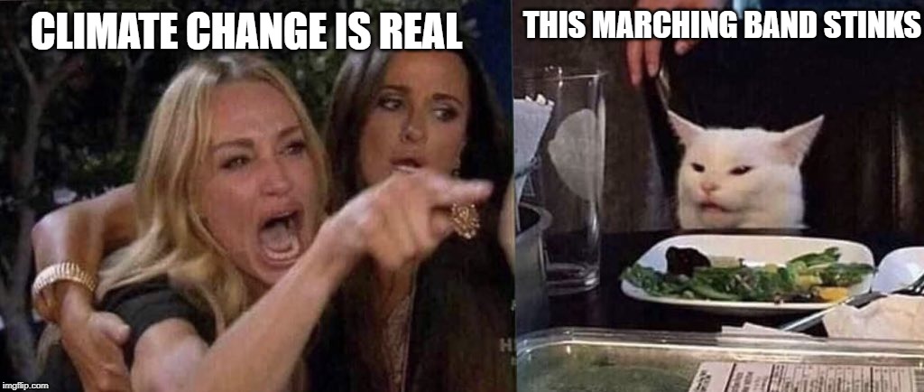 woman yelling at cat - Imgflip