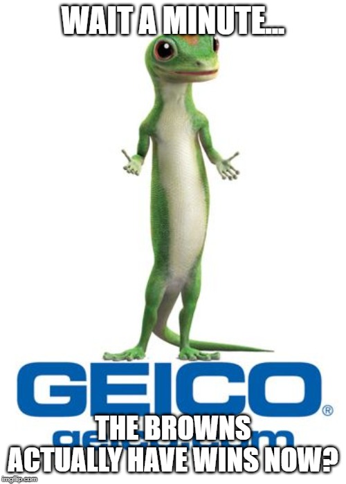 Geico lizard - Imgflip
