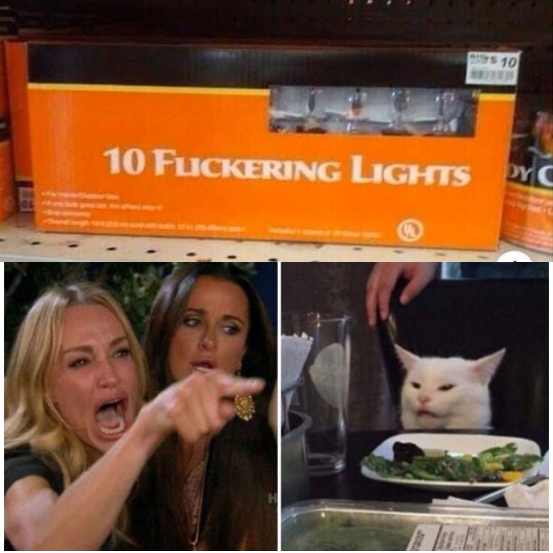 Woman Yelling At Cat Blank Template Imgflip