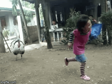 It's Turkey Day!!! - Imgflip