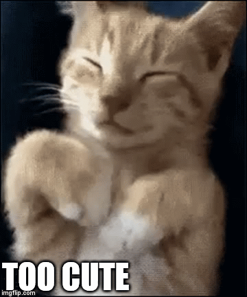 So cute - Imgflip
