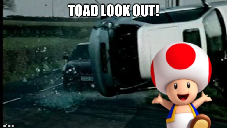 Fact Toad Memes