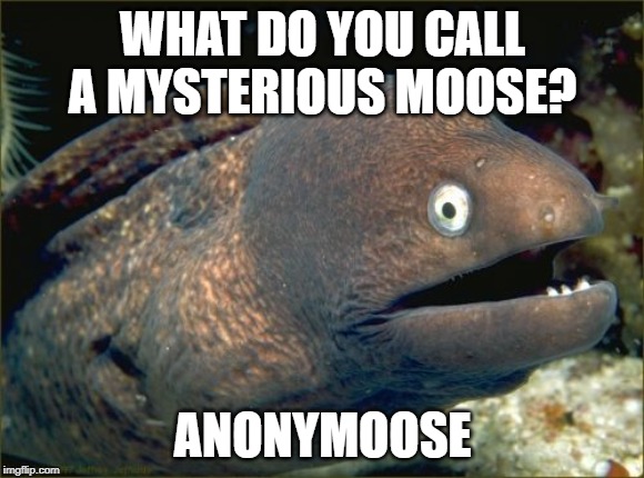 Bad Joke Eel Meme - Imgflip