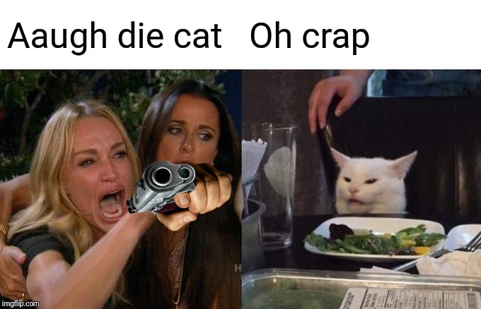 Woman Yelling At Cat Meme - Imgflip