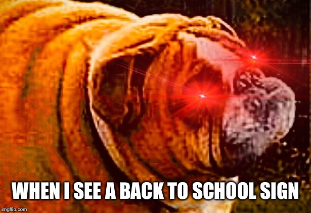 Image tagged in memes,funny memes - Imgflip