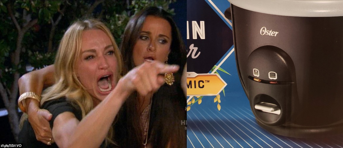 Image tagged in woman yelling at cat,woman yelling at rice cooker - Imgflip