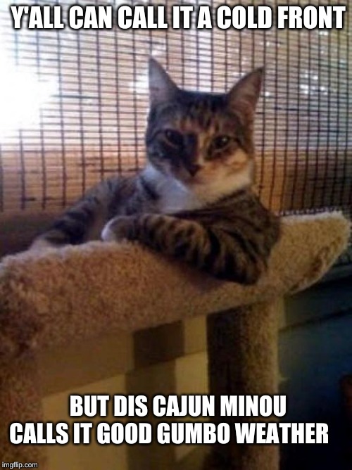 The Most Interesting Cat In The World Meme - Imgflip