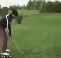 Get flattened boi - Imgflip