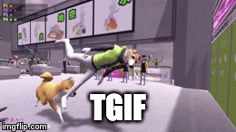 TGIF - Imgflip