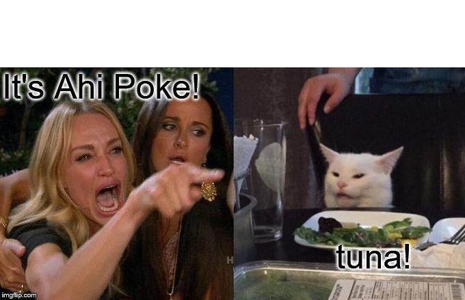 Woman Yelling At Cat Meme - Imgflip