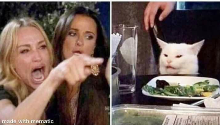 Angry Woman Cat Blank Template Imgflip
