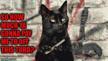 Hitman Cat Memes