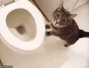 WHERE'S THE LOG? - Imgflip