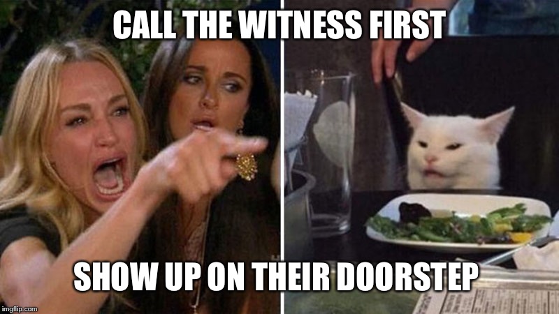 Woman yelling at white cat - Imgflip