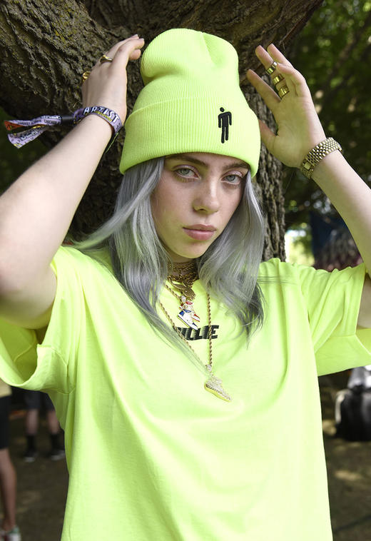 Billie Eilish Blank Template Imgflip