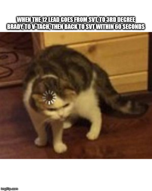 Loading cat - Imgflip