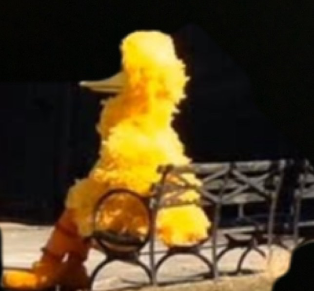 Big Bird Being Depressed Blank Template Imgflip