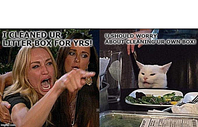 Woman Yelling At Cat Meme - Imgflip