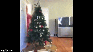Image tagged in gifs,dark humor,adopted,merry christmas,christmas ...