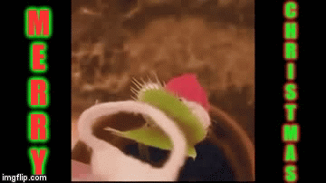 chompy irl - Imgflip