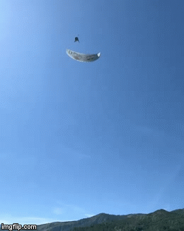 one of the smoothest landings ever - Imgflip