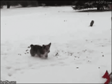 WHEN YOU GET TOO EXCITED FOR SNOW - Imgflip