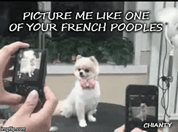 Picture me - Imgflip