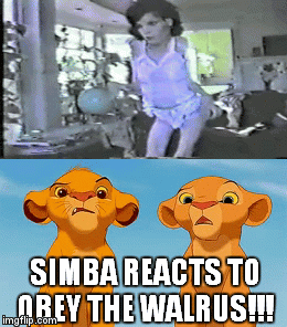 SIMBA REACTS TO - Imgflip