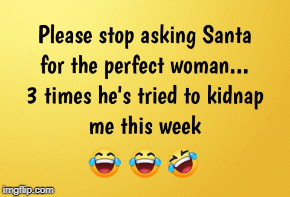 Santa perfect woman - Imgflip