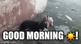 Good morning ☀️! - Imgflip