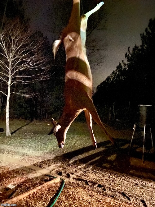 Louisiana/ Mississippi Rut: 2019/ 2020 | Page 2 | Outdoor Board