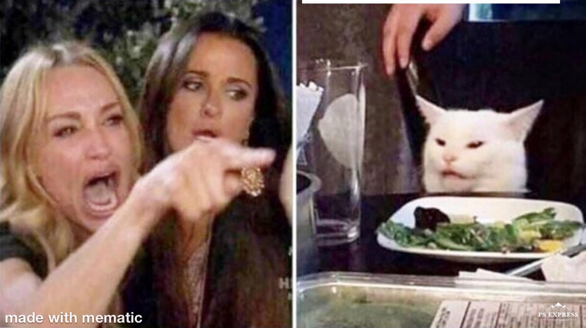 Cat And Woman Meme Template