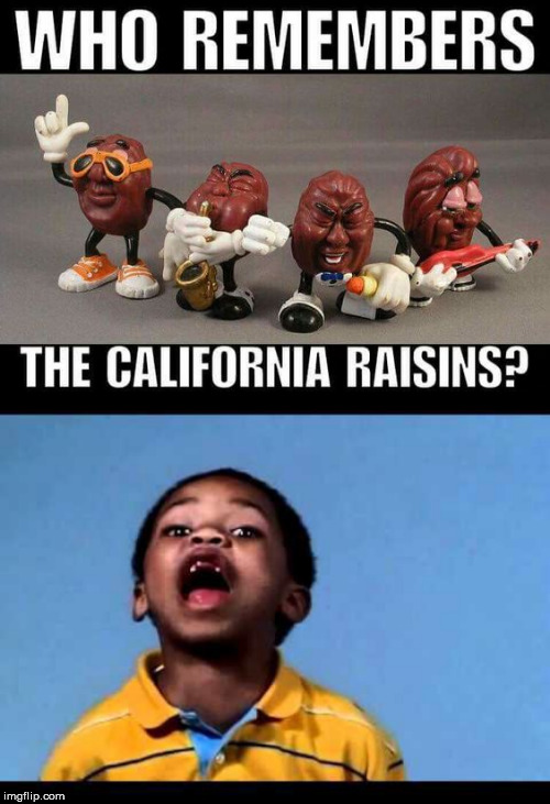 Image tagged in that's racist 2,raisin - Imgflip