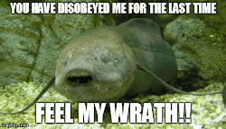 Lungfish Destruction - Imgflip