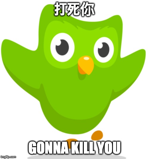 Duolingo Owl - Imgflip
