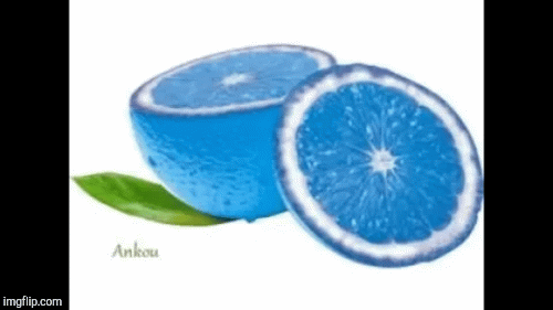 Blue Lemon! - Imgflip