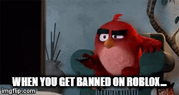 when you get banned on roblox - Imgflip