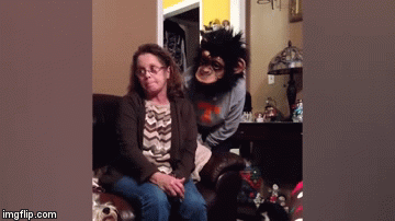 When That Monkey Just Won't Get Off Your Back - Imgflip