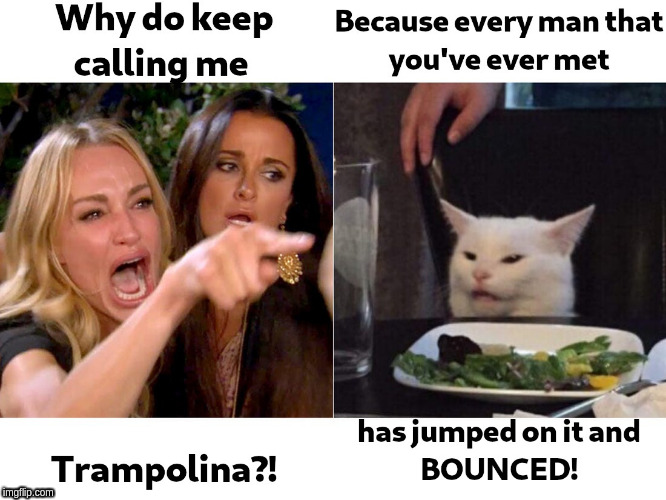 Image tagged in smudge the cat - Imgflip