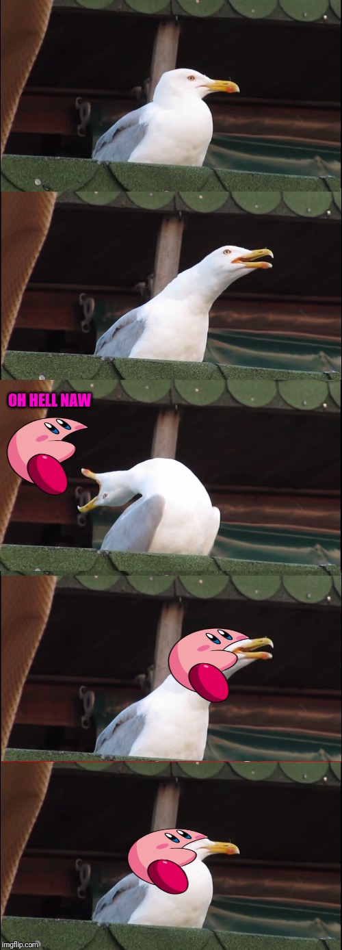 Image tagged in memes,inhaling seagull - Imgflip