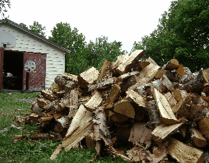the wood pile - Imgflip