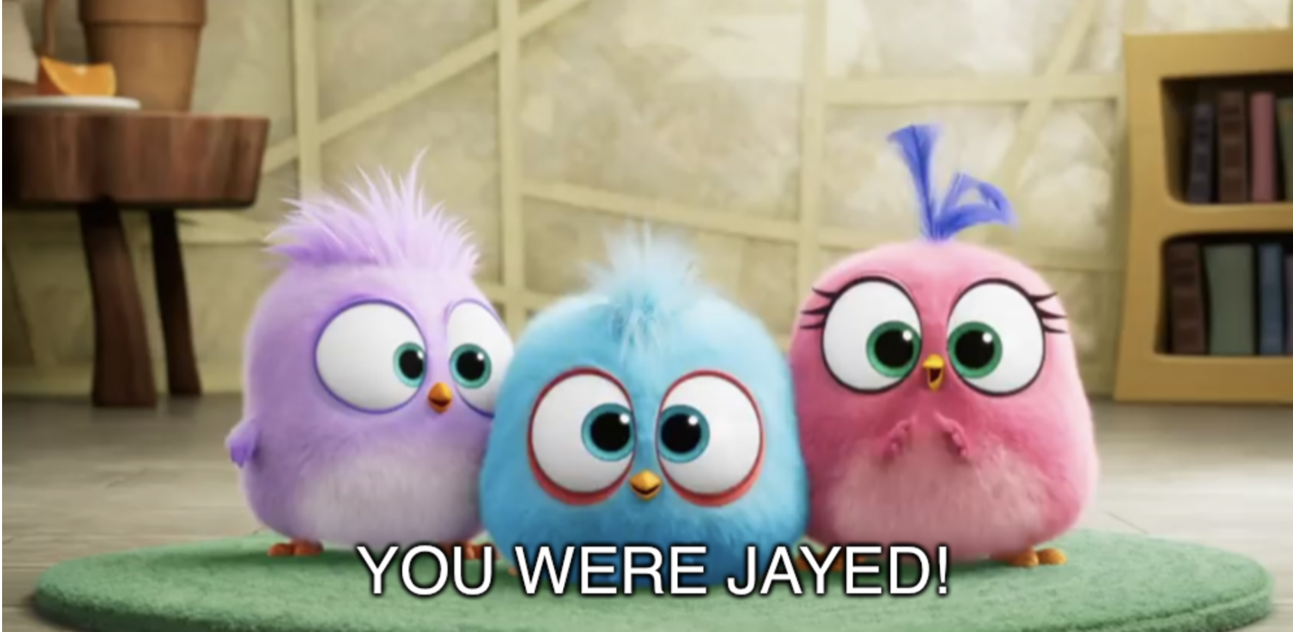 You were jayed! Blank Template - Imgflip