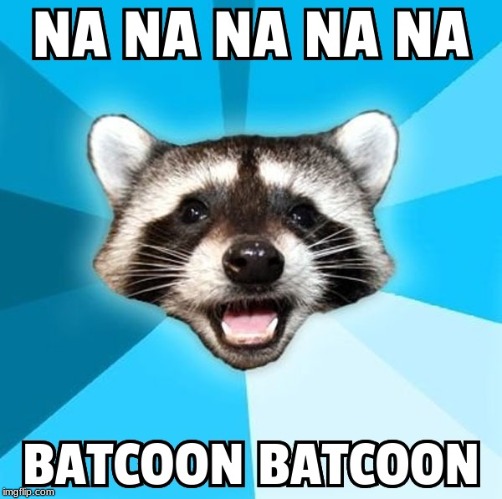 Batcoon - Imgflip