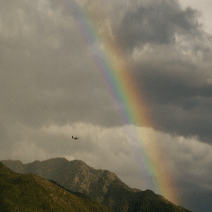 Flying Through A Rainbow - Imgflip