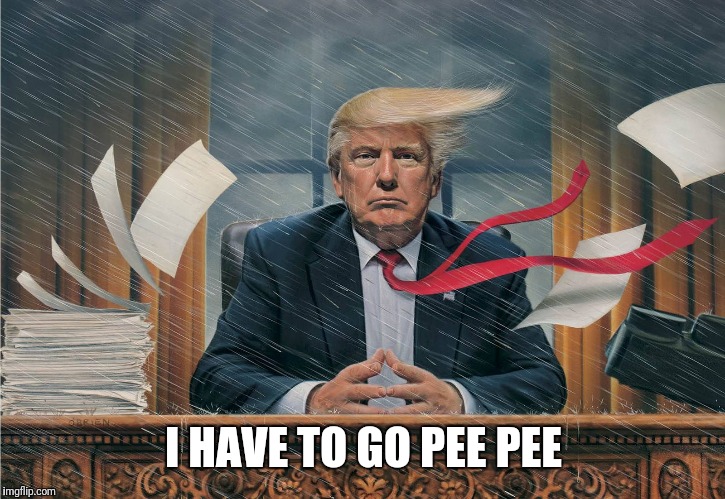 Trump storm - Imgflip