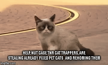 CRAZY TNR CAT TRAPPERS - Imgflip