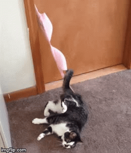 BOOBY TRAP - Imgflip