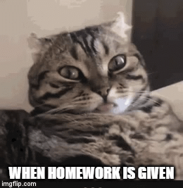 when homework is given - Imgflip