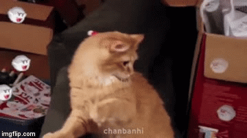 Game over man, game over!! - Imgflip