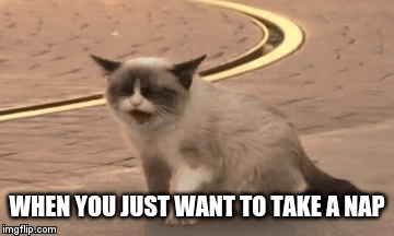 When you just want to take a nap - Imgflip
